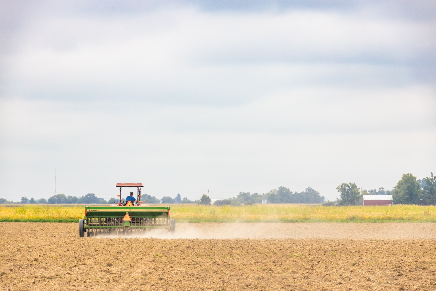 Planting Seeds, Local Grains at the Bakehouse - BAKE! with Zing blog