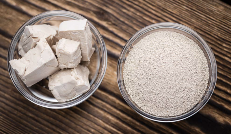 All About Baker’s Yeast - BAKE! with Zing blog